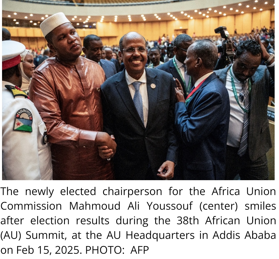 38th African Union Summit: Reparation, peace and development at the ...