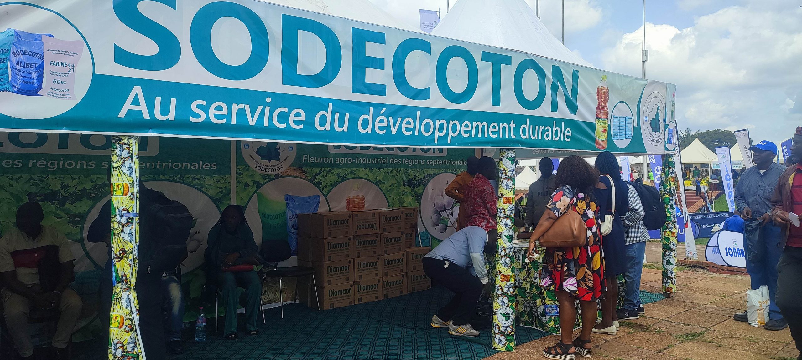 La SODECOTON au cœur du Festival de la banane plantain : Entre ...