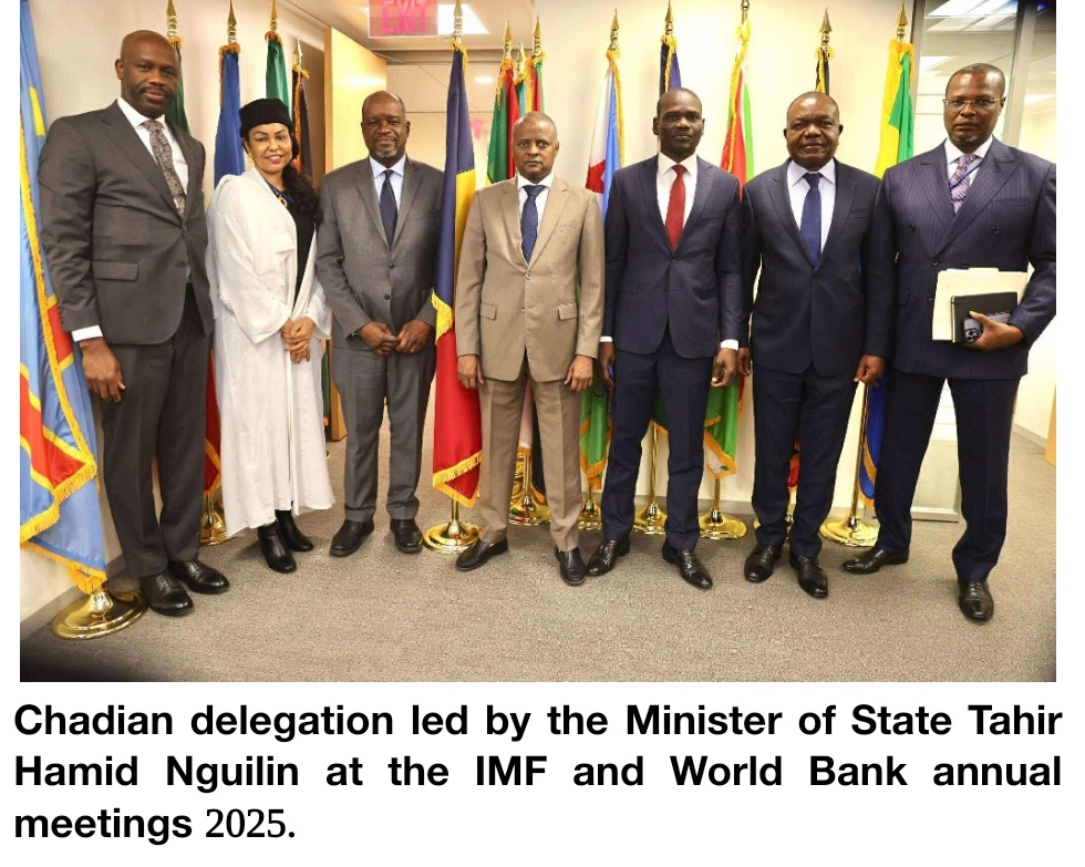 Chad Promotes Its Vision "Connecting Chad 2030" at the IMF and World ...