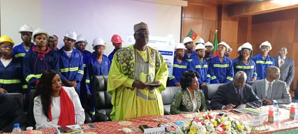 « Un Jeune, Un Métier, Un Emploi » : Le MINEFOP Lance un programme ...